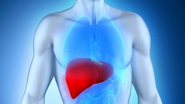 Kako se bolesna jetra pokazuje na koži,nogama? OVO SU SIMPTOMI BOLESNE JETRE… | Mega Vijesti